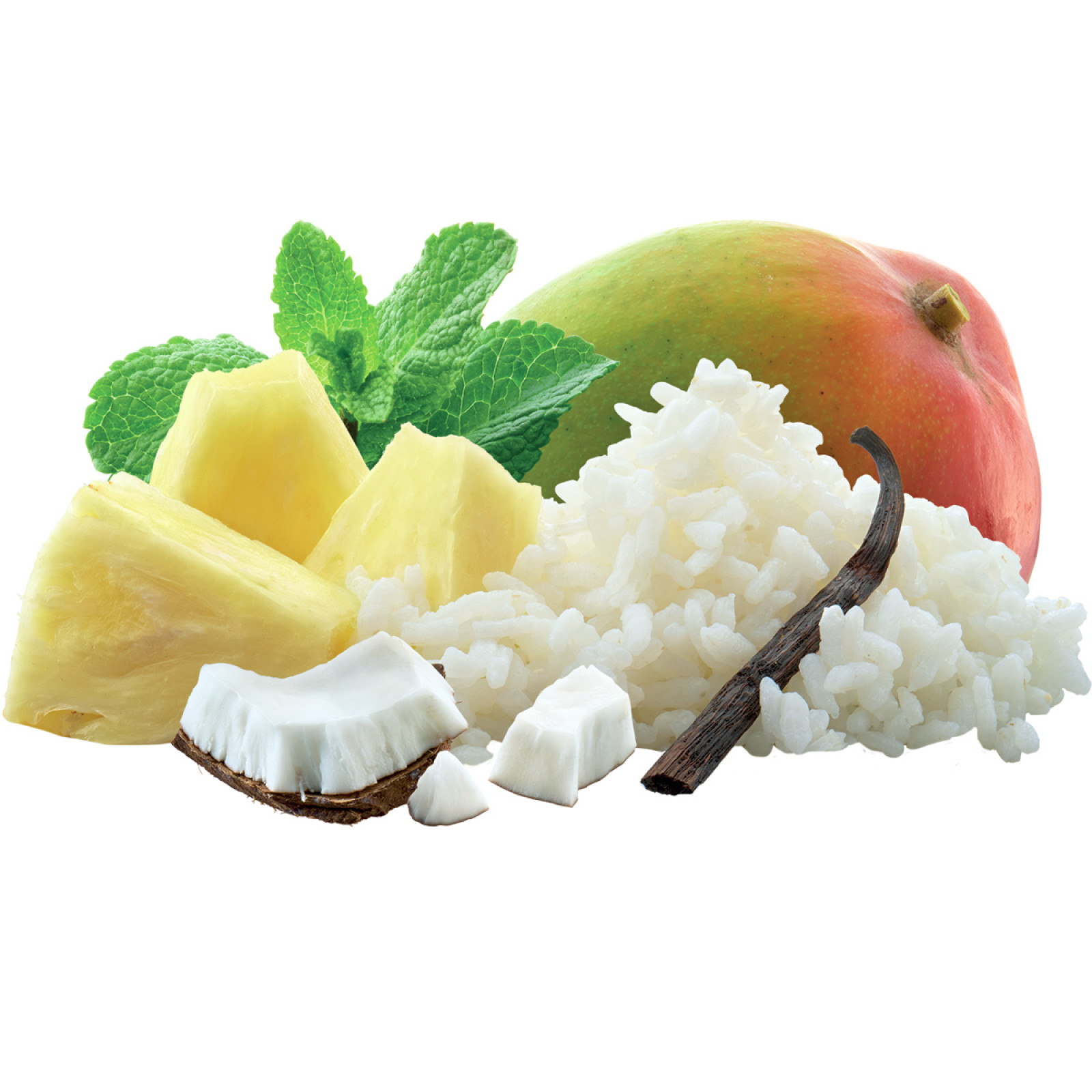 Adventure Food Tropical Rice Desert | Mancare Liofilizata / Deshidratata